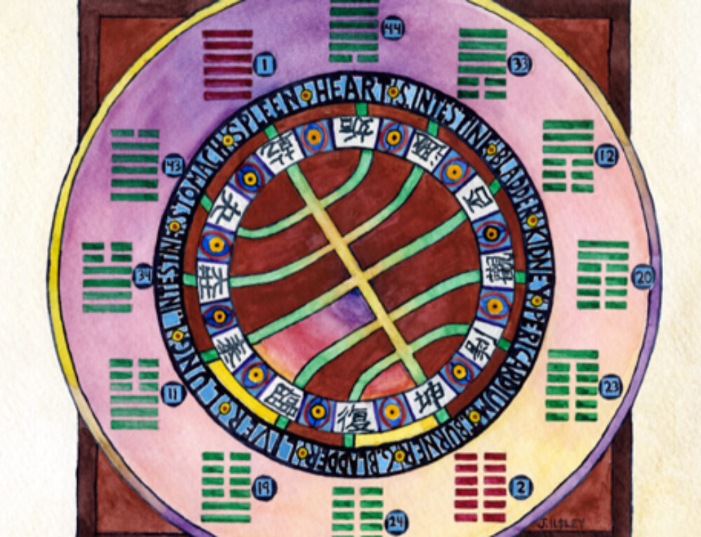 Single Herbs: Huangjing (Rhizome Polygonati)